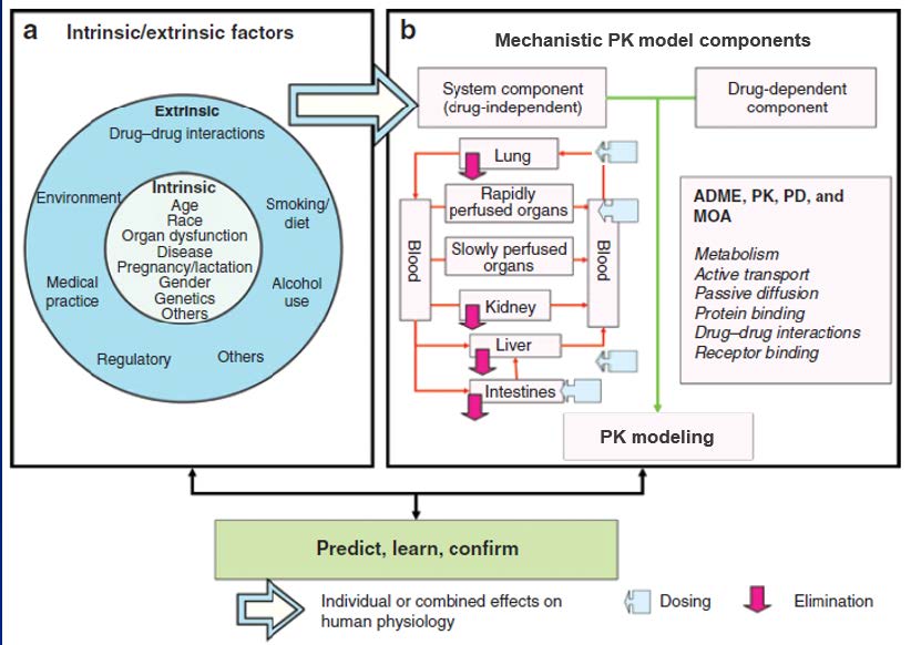GastroPlus软件PBPK模型经验 - 个人学习笔记 GastroPlus软件PBPK模型经验